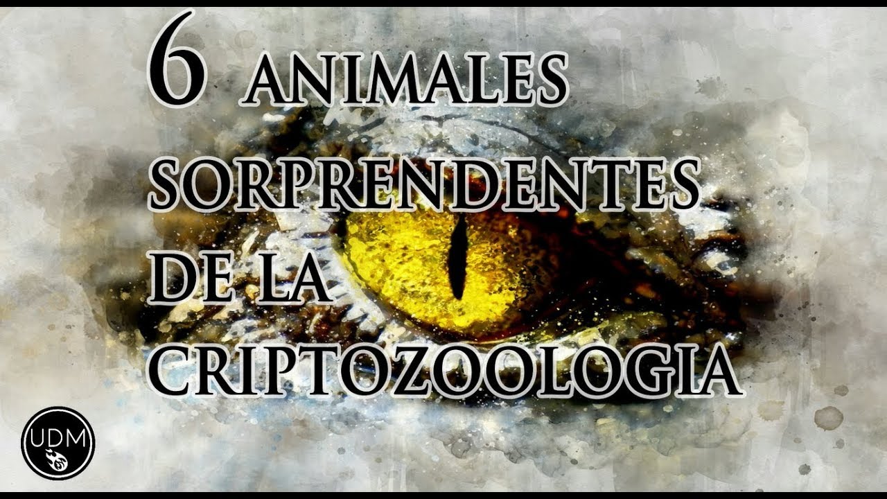 6 ANIMALES SORPRENDENTES DE LA CRIPTOZOOLOGIA - YouTube