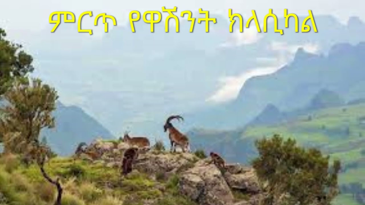 Ethiopian Washent Classical V2: ምርጥ የዋሽንት ክላሲካል-2 - YouTube