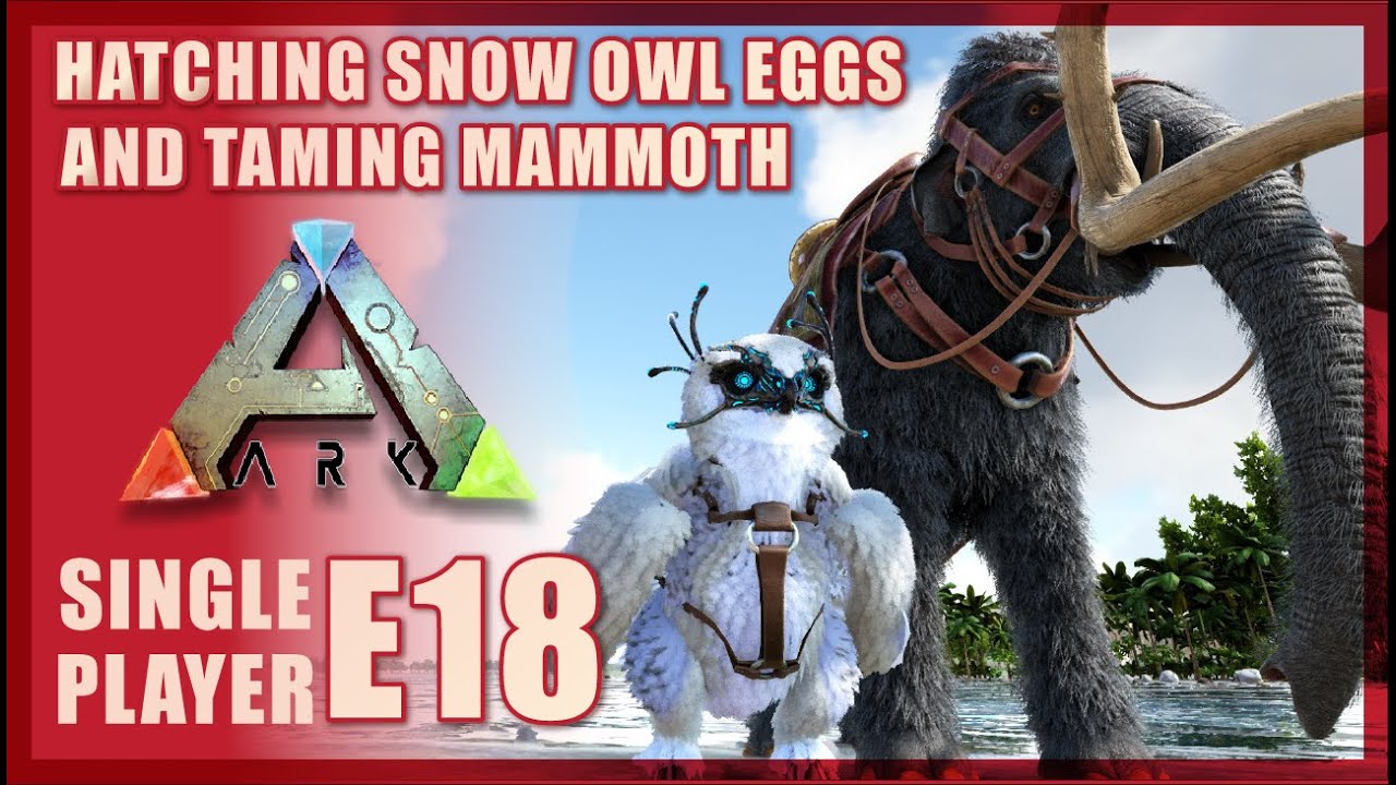 Hatching snow owl eggs and taming mammoth - Ark single player E18 - YouTube