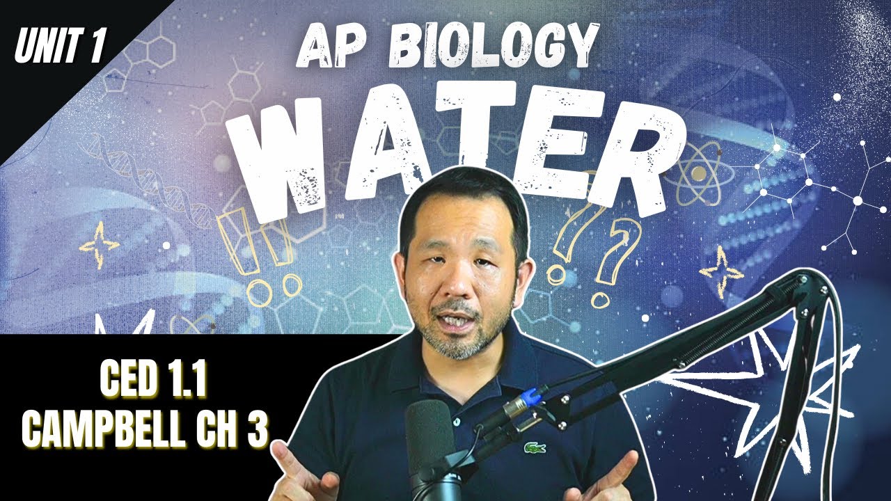 AP BIO: Chapter 3 (Campbell Biology) on WATER in 10 minutes! - YouTube