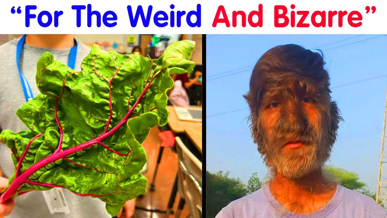 “For The Weird, Strange, Odd And Bizarre” 50 Pics From This Strange ...