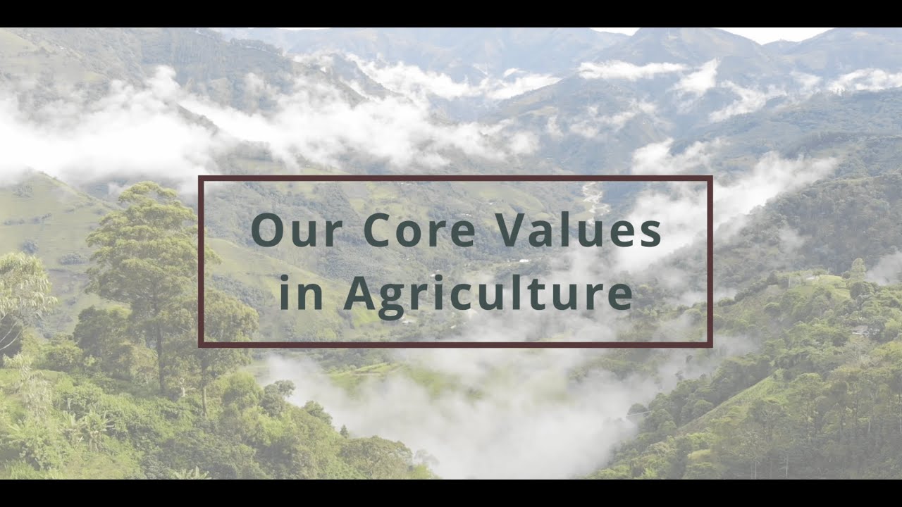 Our Core Values in Agriculture: Green Coffee Company - YouTube