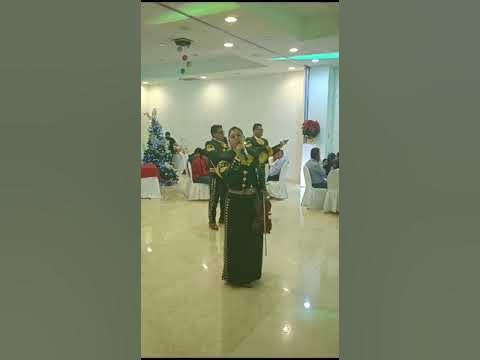 LOS LAURELES... MARIACHI LATINO CORDOBA VERACRUZ - YouTube