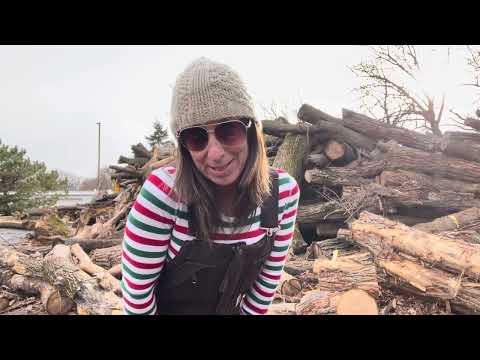 No rest for Ms.Beaver - YouTube