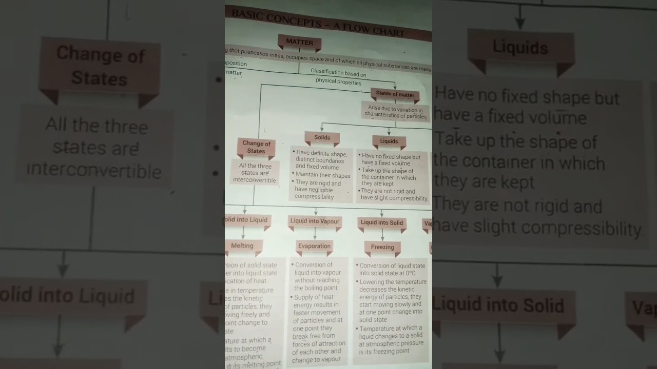 class 9th science chapter 1 Flow chart explanation - YouTube