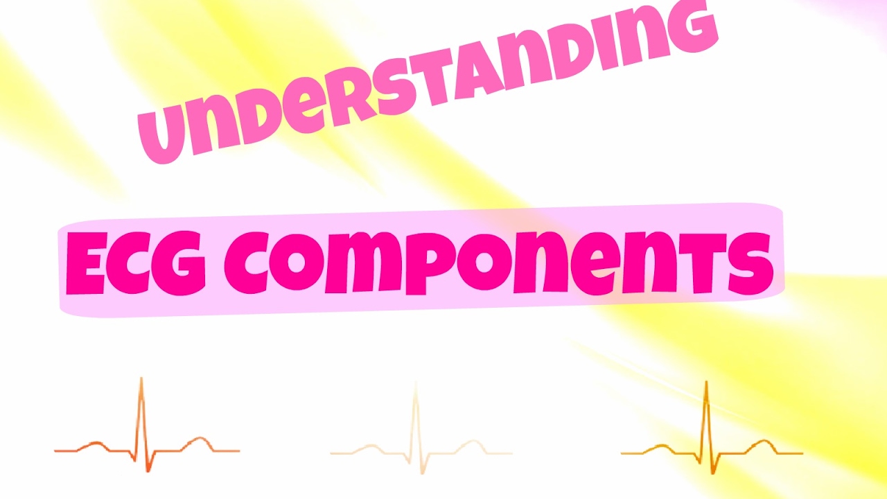 ECG Components - YouTube