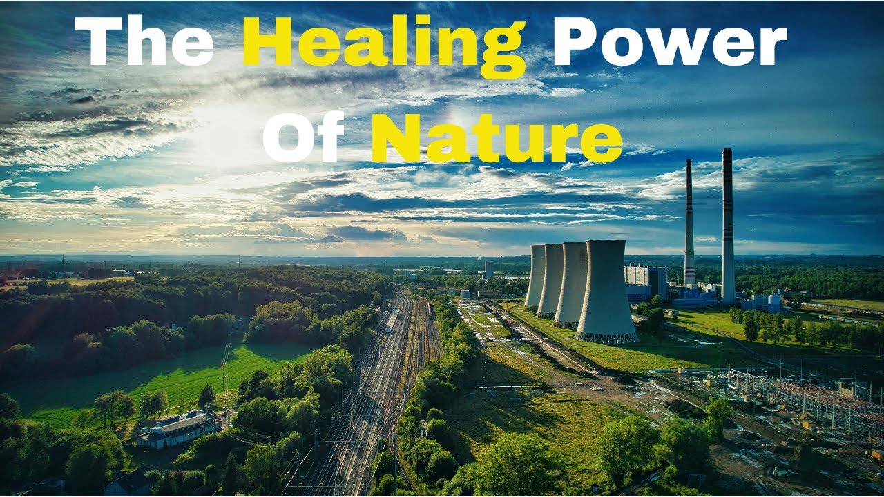 The Healing Power Of Nature - YouTube