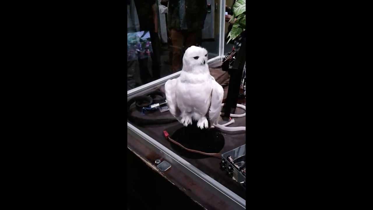Animatronic Snowy Owl - YouTube