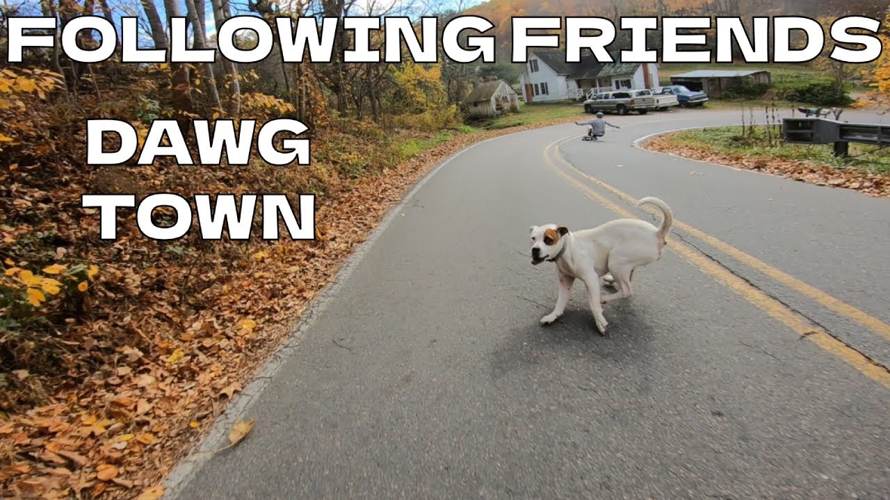 Dawg Town: Following Friends Series - YouTube
