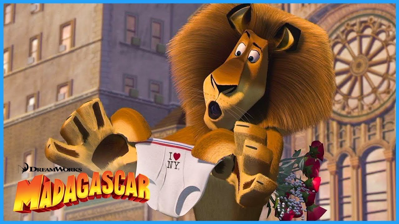 The Most Famous Lion in NYC 🗽🦁 | DreamWorks Madagascar - YouTube