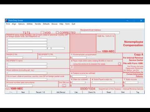 W-2/1099 Forms Filer Tutorial - YouTube