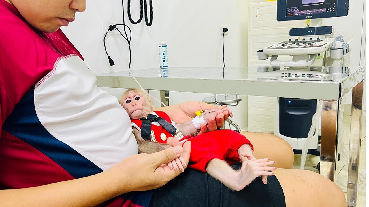 Compilation 6 days Bibi resisted the disease - YouTube