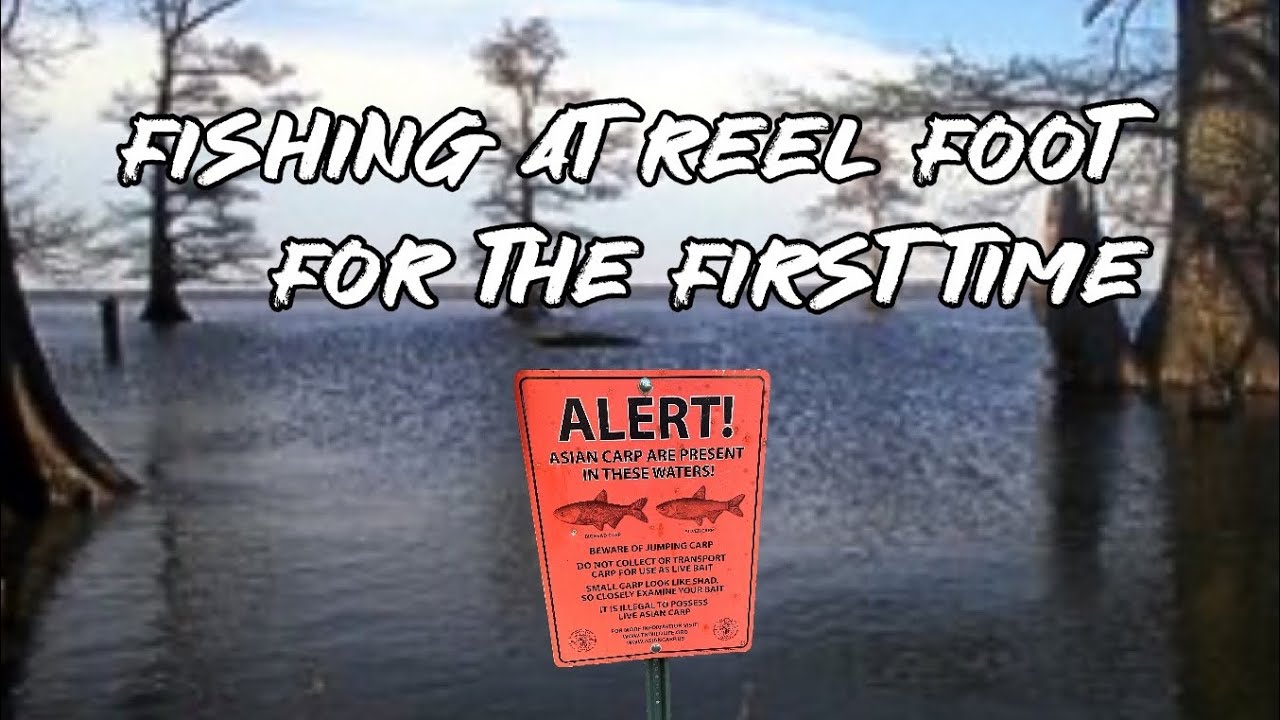 Full Review on Reel foot Lake in Tennessee/Kentucky - YouTube