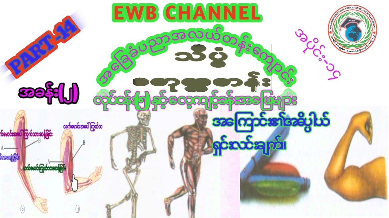 Myanmar New Curriculum Grade 4 စတုတ္ထတန်း Science သိပ္ပံ Part 14 မေးခ