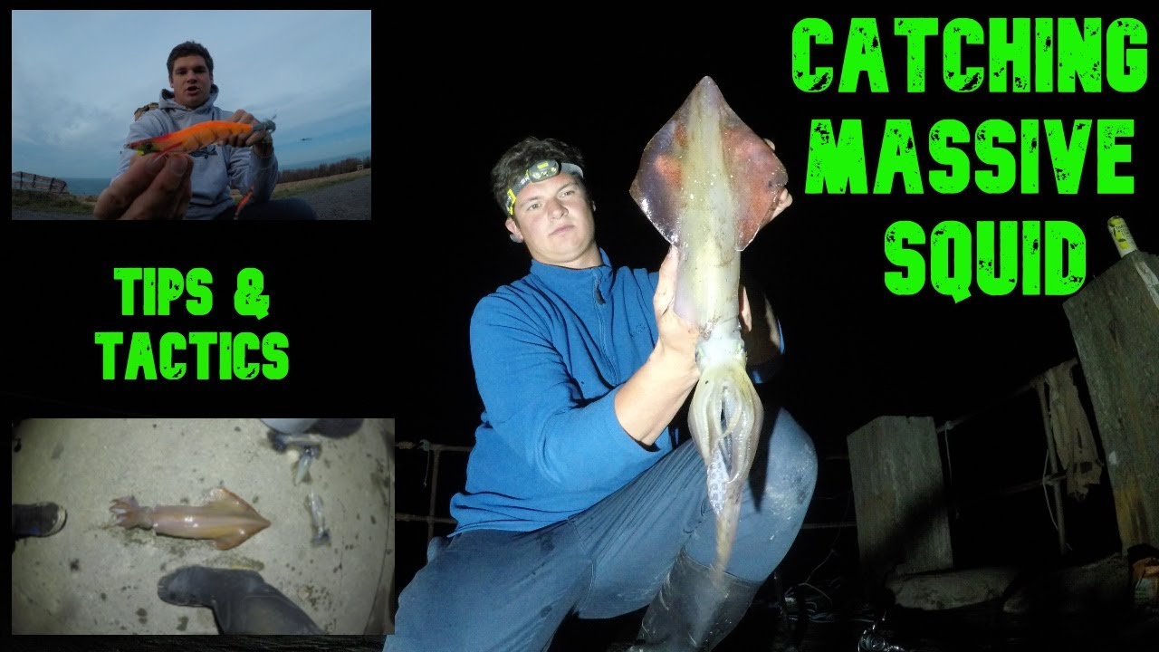 CATCHING MONSTER SQUID | TIPS TO HOOKING UP WITH SEA MONSTERS | SQUID ...