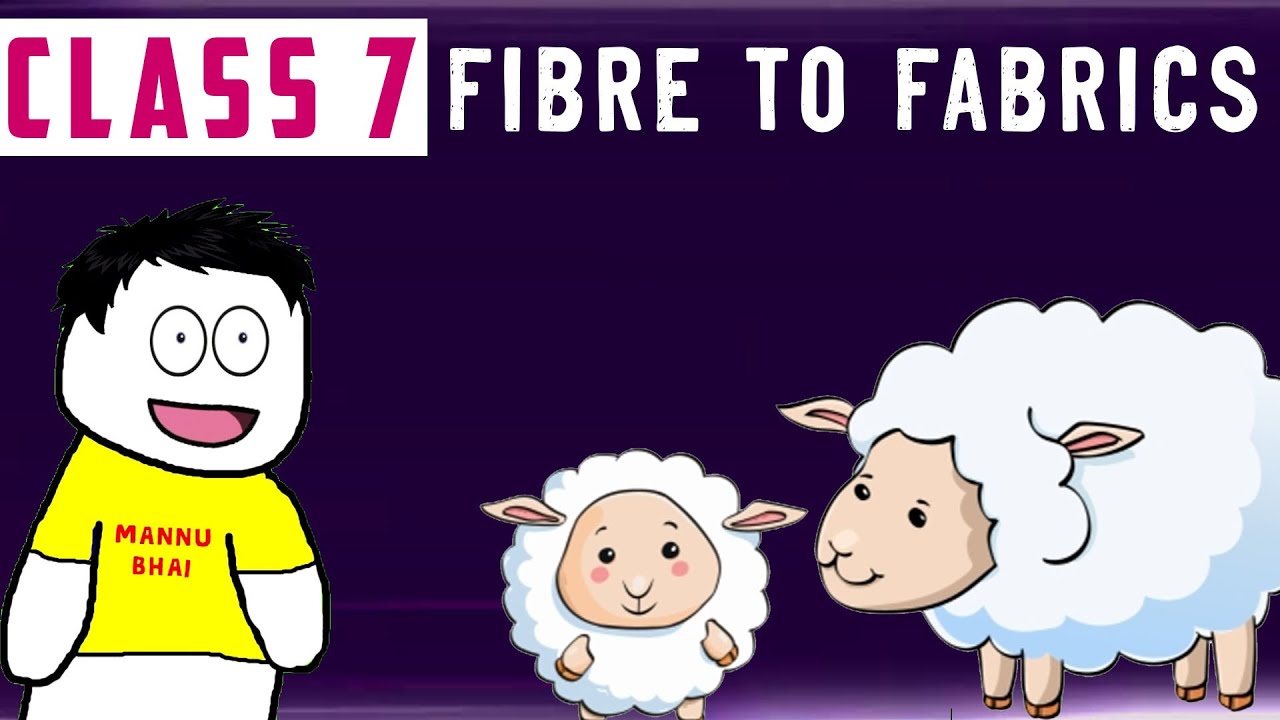 class 7 science chapter 3 - Fibre to Fabric | Cbse Class 7 Science ...