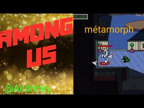J'ai fait une masterclass sur among us (2 kill en métamorphe) - YouTube