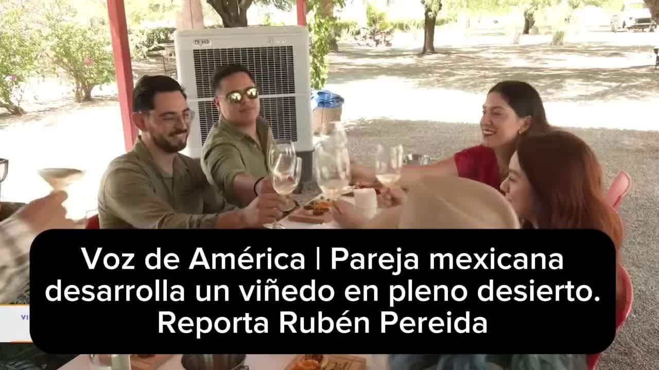 Voz de América | Pareja mexicana desarrolla un viñedo en pleno desierto ...
