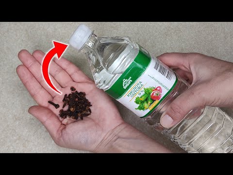 Налейте УКСУС в ГВОЗДИКУ 💥 Результат превзошел все мои ожидания!