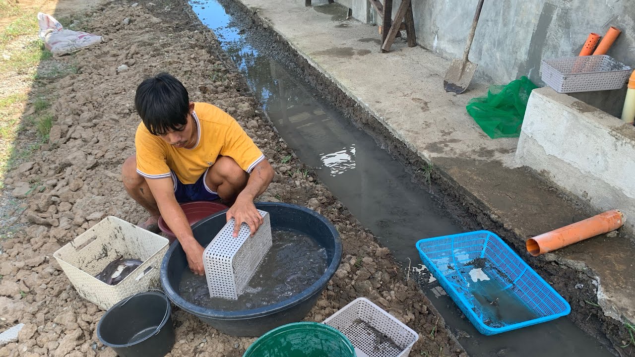 UPDATE ! Hito BackYard | ConcretePond And Earth Pond @Sta Barbara ...