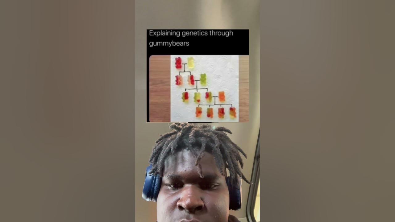 Genetics explained with gummy bears - YouTube