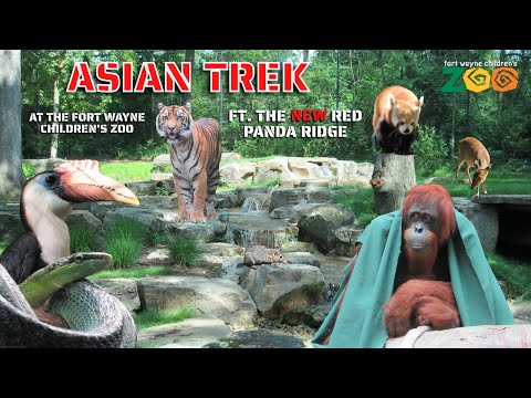 Asian Trek at the Fort Wayne Children's Zoo | Exhibit Tours Ep. 31
