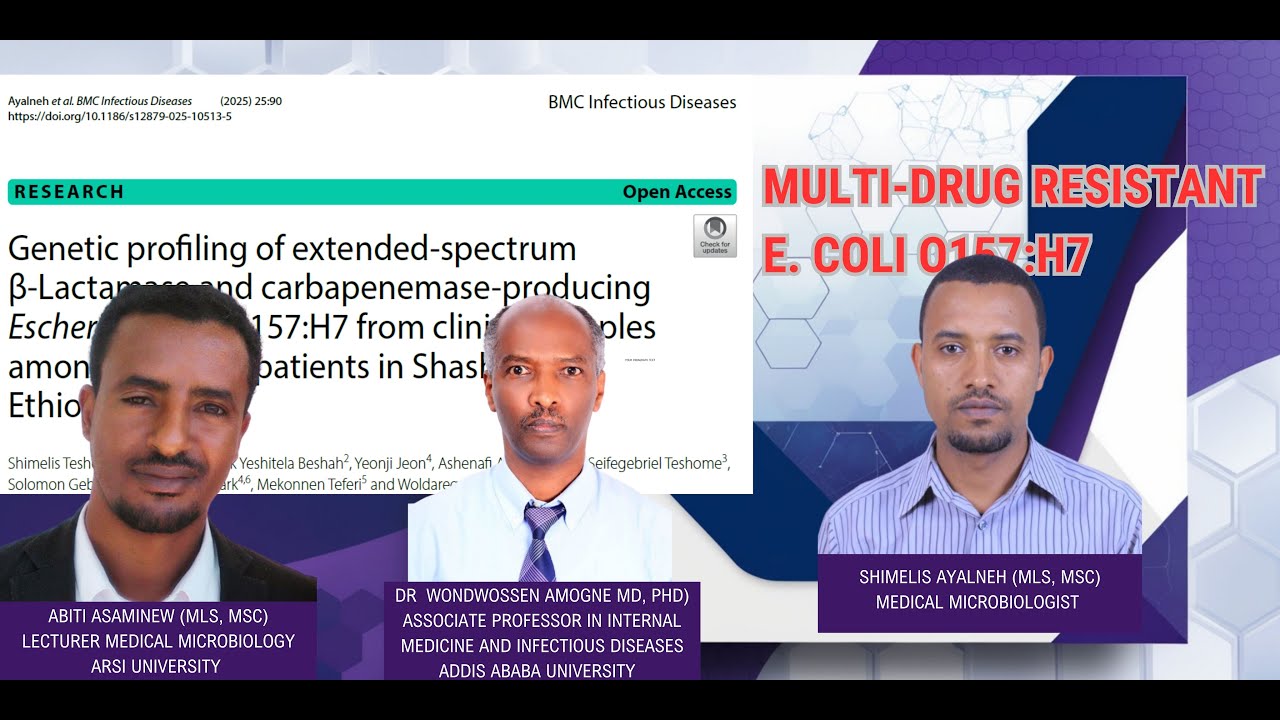 Multi-drug resistant E. coli O157:H7 - YouTube