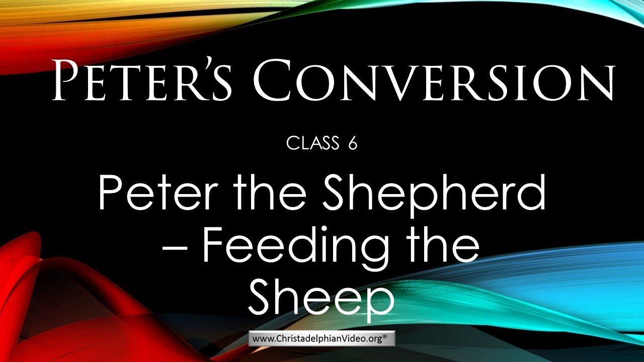 Peter's Conversion Study 6: "Peter the Shepherd Feeding the Sheep ...