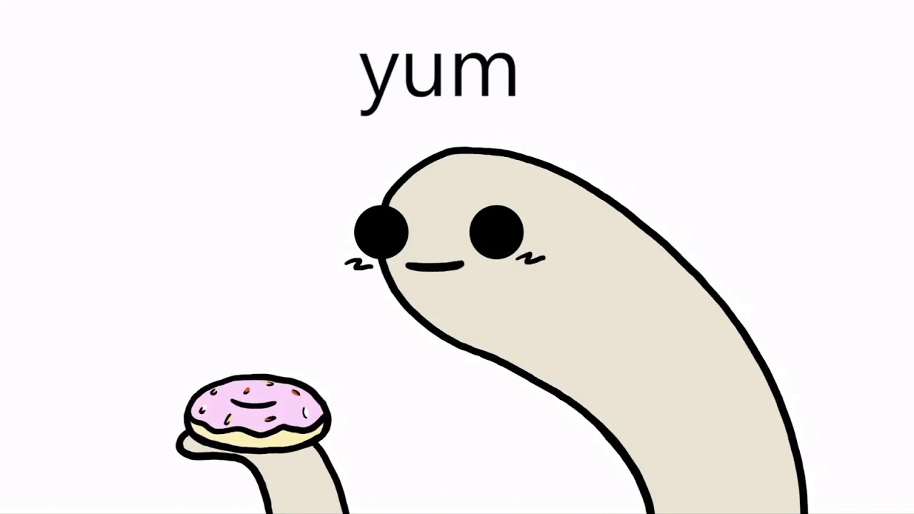 Donut and worm - YouTube