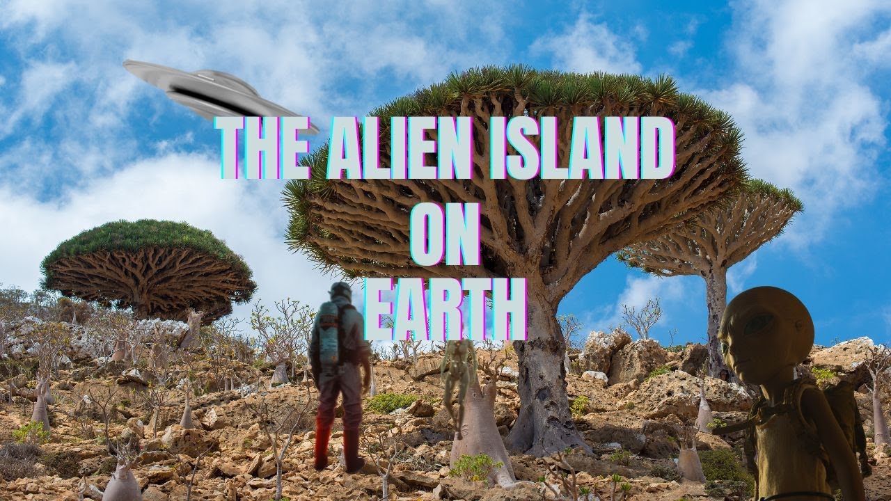 Socotra _The Alien Island on Earth - YouTube