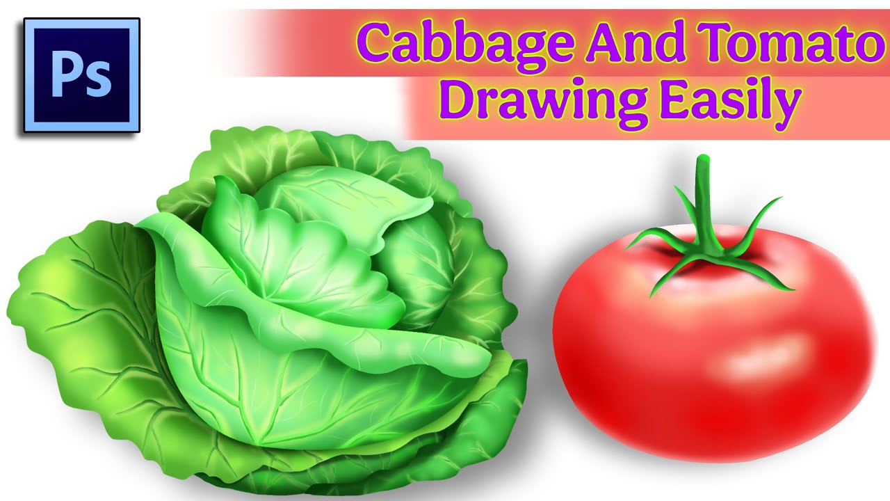 How To Draw Realistic Cabbage And Tomato Vegetables in Photoshop For ...