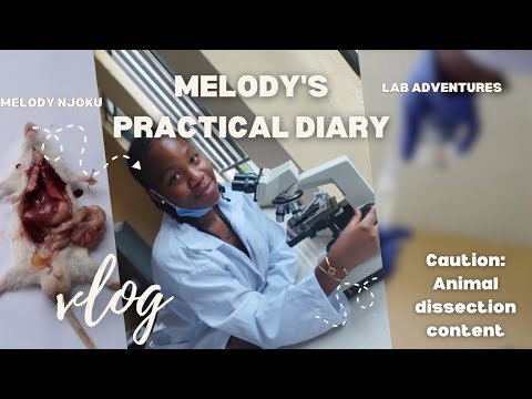 PRACTICAL WEEK VLOG||RAT DISSECTION|| - YouTube