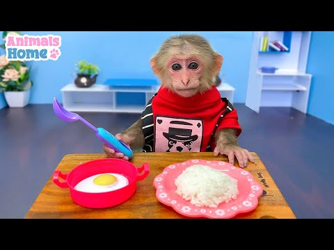 Monkey BiBi cooks breakfast and helps dad sell fruit
