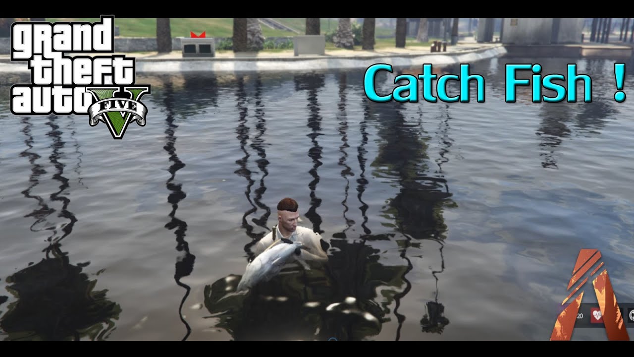 Fivem Safe Zone Script Youtube