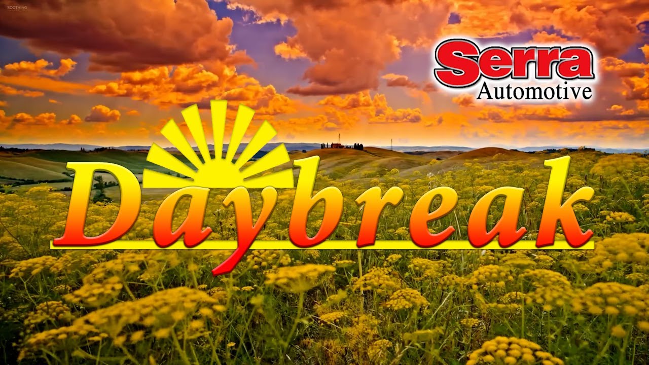 Daybreak w/, Alisha Hamilton & Blessin Taylor - 11/01/2024 - YouTube