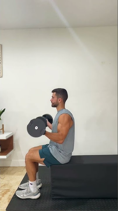 Seated Dumbbell Bicep Curl - YouTube