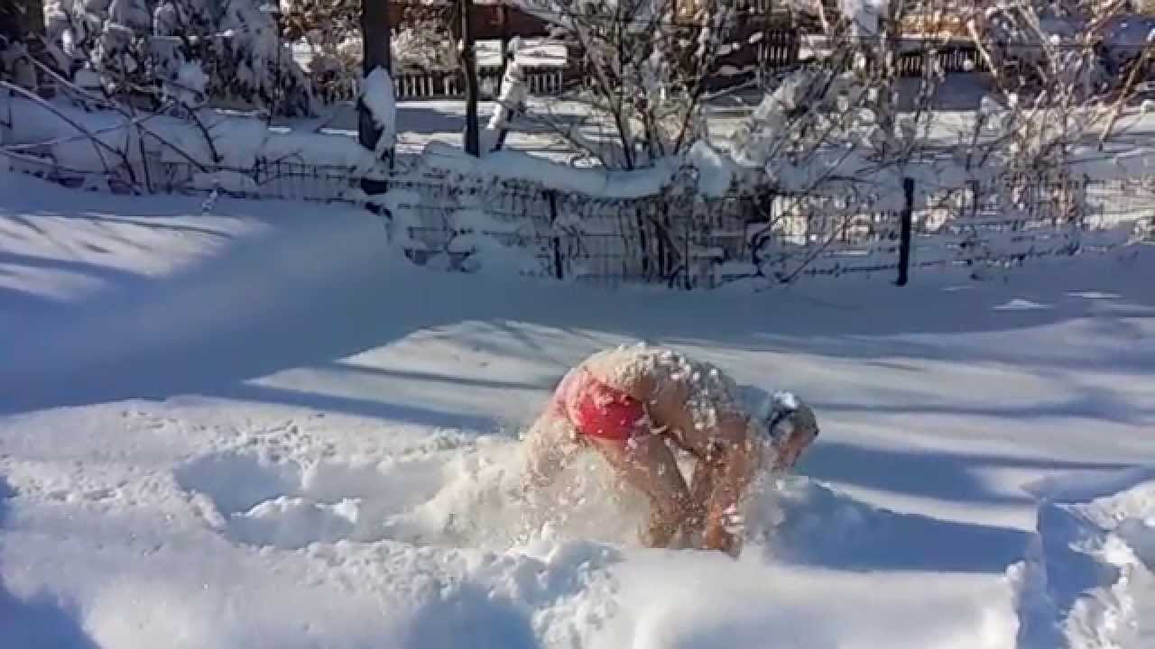 Snow Dive :) - YouTube