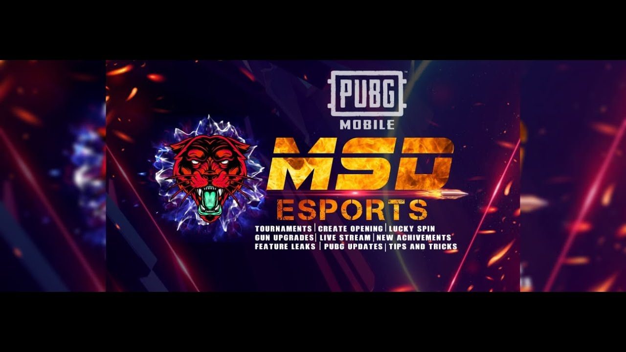 MSD Esports - Trailer - YouTube