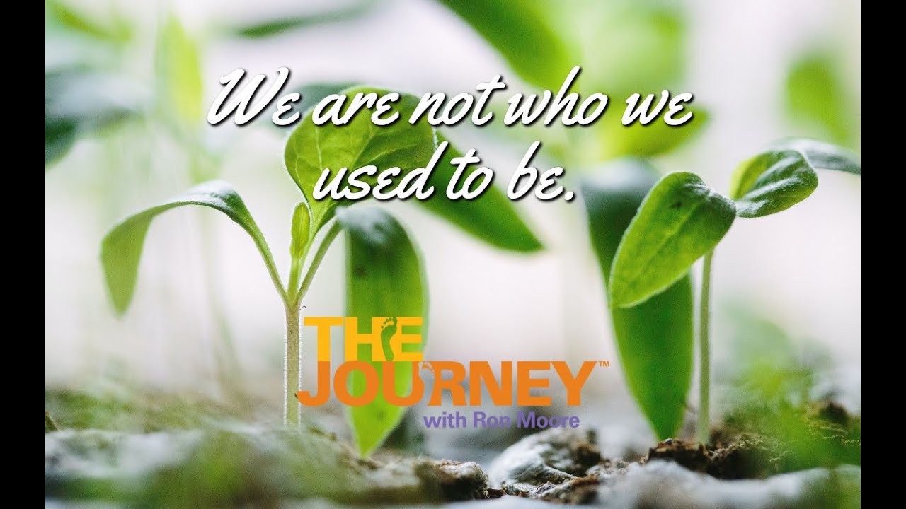 Living Hope - Who Did You Use to Be? - YouTube