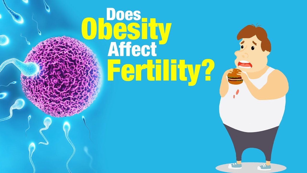 How Does Obesity Affect Fertility Youtube