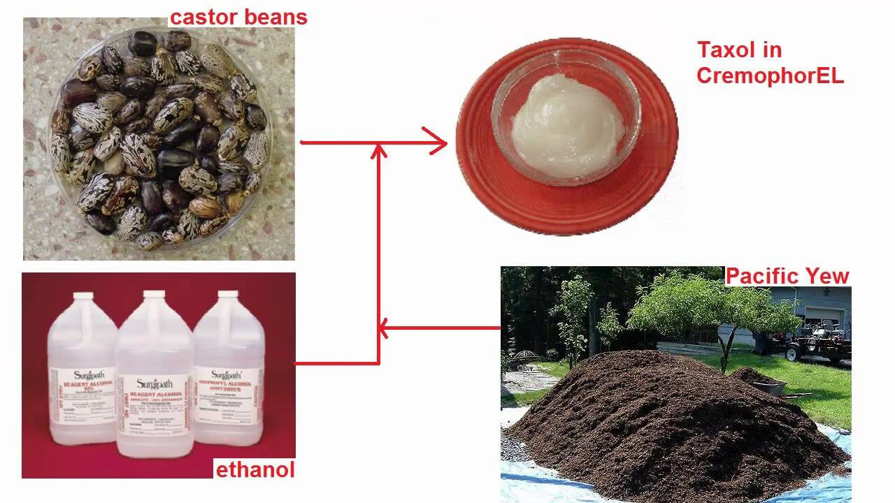 Natural Cures Youtube