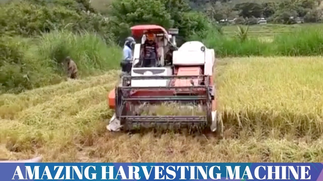 Amazing Rice Harvesting Machine - YouTube