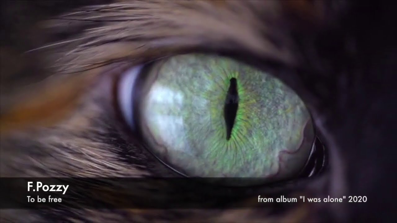 F.Pozzy "To Be Free" (2020) - YouTube Music