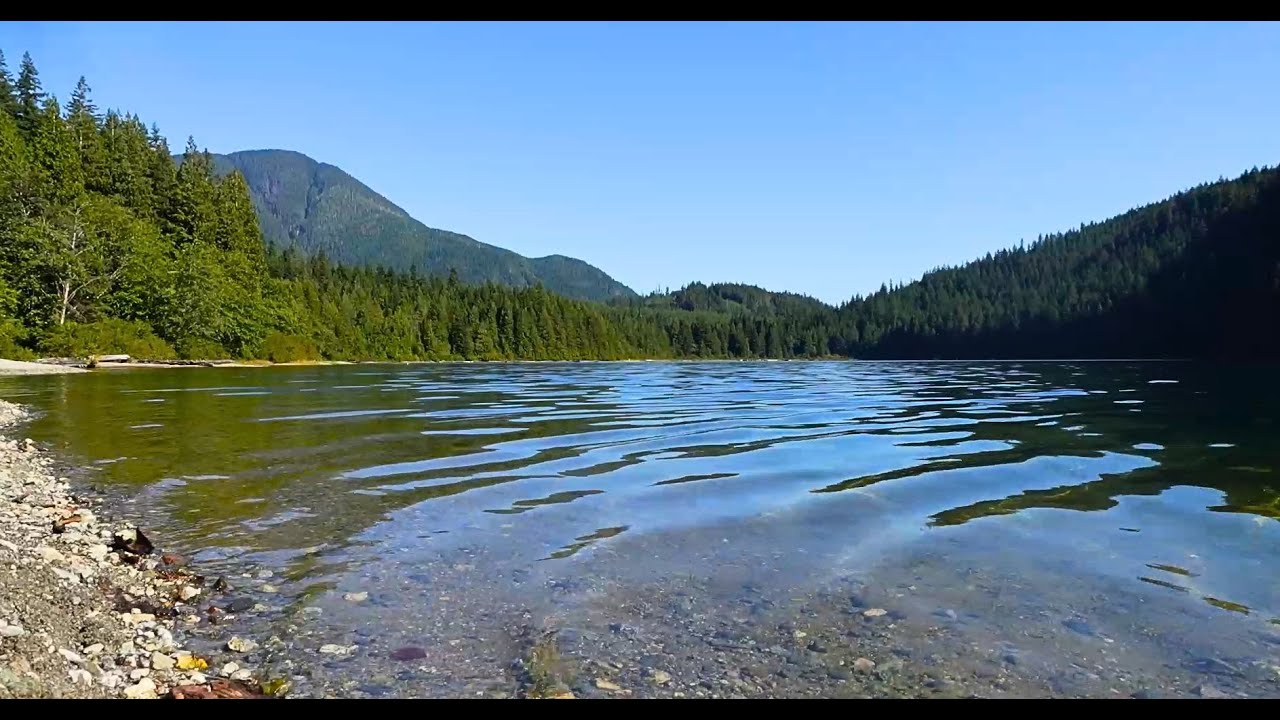 At Lake's Edge | Lapping Water Sounds - YouTube