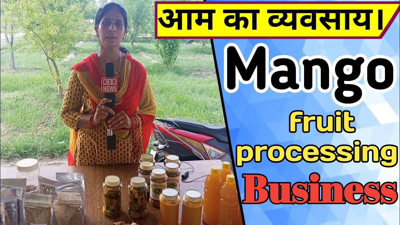 Mango Business full details। Mango food processing business। food ...