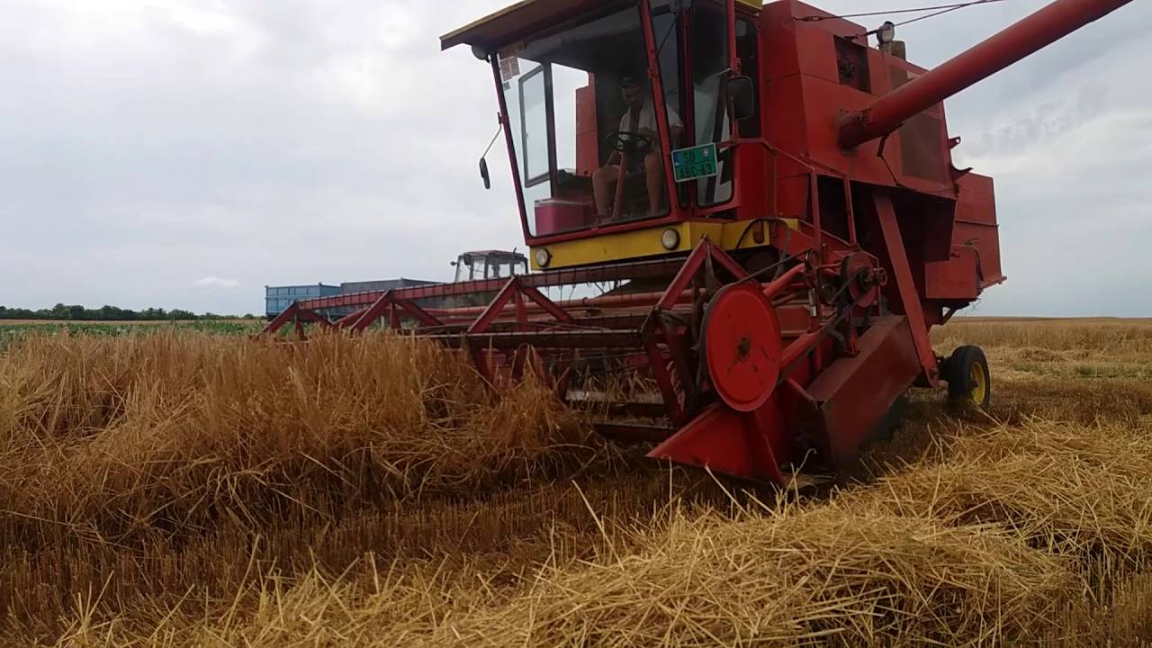 Zmaj 142 - YouTube