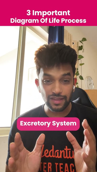 3 Important Diagram of Life Processes Class 10 Science Biology | CBSE ...