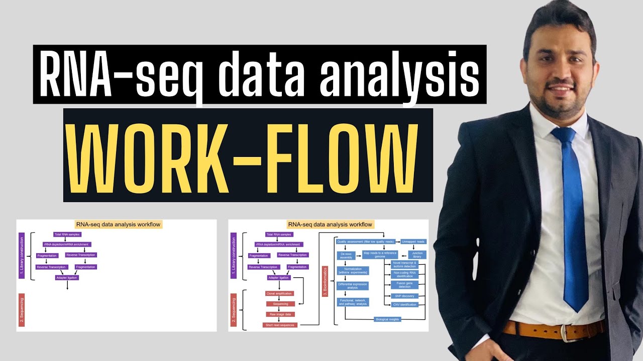 RNA-seq data analysis workflow - YouTube
