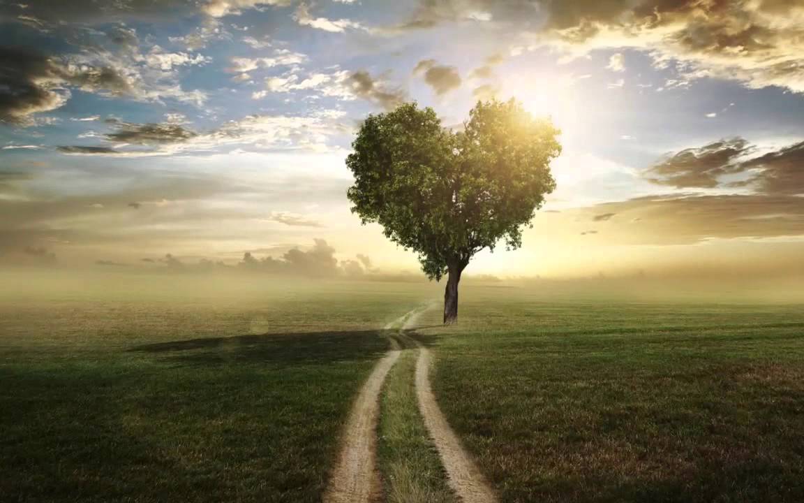 White Robed Monks of St. Benedict - YouTube