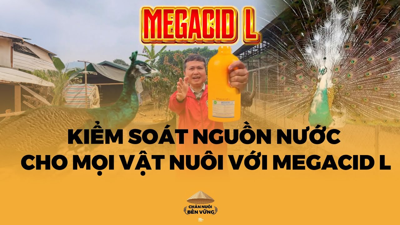 KIỂM SOÁT NGUỒN NƯỚC PHÒNG E COLI VÀ SALMONELLA CHO MỌI VẬT NUÔI VỚI ...